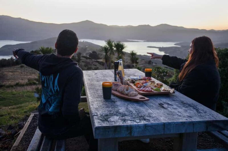 Akaroa: Astronomy Bites Tour with 3 telescopes and platter - An In-Depth Look at the Akaroa Astronomy Bites Tour