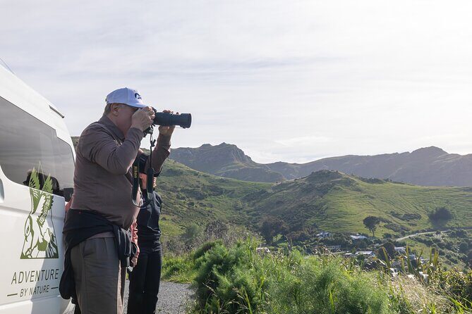 Akaroa & Banks Peninsula from Lyttelton(Private Shore Excursion) - Starting Point: Lyttelton