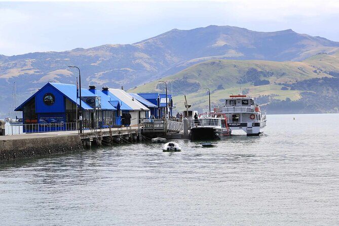 Akaroa & Banks Peninsula tour from Lyttelton (Shore Excursion) - Who Will Love This Tour?