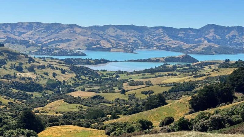 Akaroa Day Tour From Christchurch - The Charming Stop at Little River