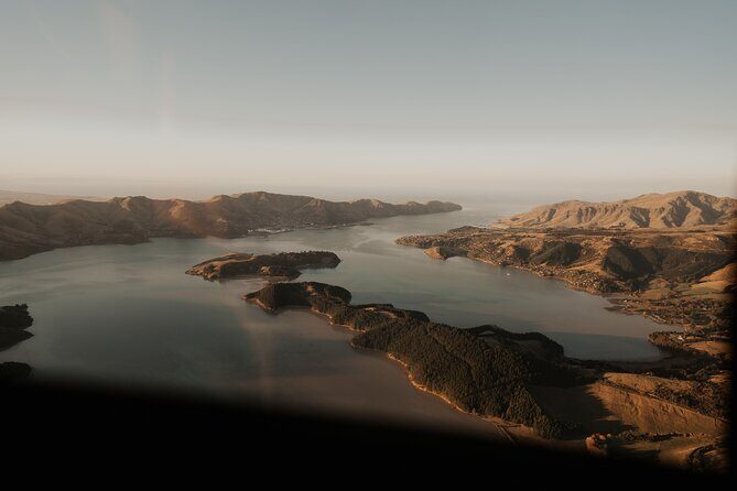 Akaroa Day Tour From Christchurch & Lyttelton - What the Reviews Say