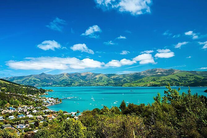 Akaroa Day Tour from christchurch Return - Understanding the Value