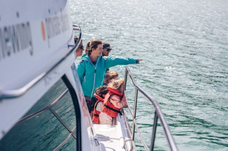 Akaroa: Dolphin Nature Cruise - Final Thoughts