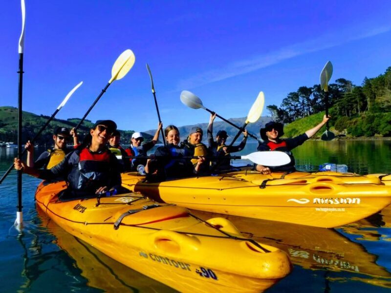 Akaroa: Electric Mountain Bike and Sea Kayak Adventure - The Itinerary: What You’ll Do and Why It Matters