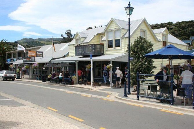 Akaroa Full Day Sightseeing Tour from Christchurch - Marine Wildlife Cruise: A Deep Dive into Akaroa Harbour