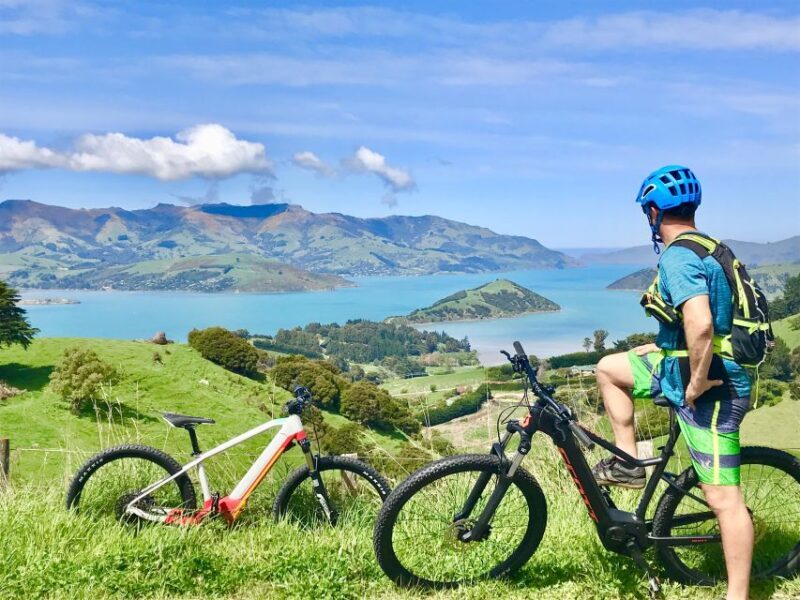 Akaroa: Guided Electric Mountain Bike Tour-Lava Loop - Who Will Love This Tour?