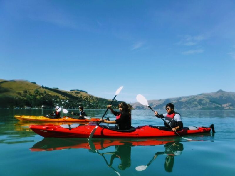 Akaroa: Guided Sunrise Sea Kayaking Tour - The Sum Up