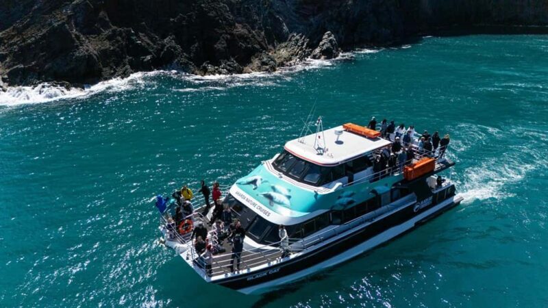 Akaroa Harbour 2-Hour Dolphin Nature Cruise - Practical Details and Tips