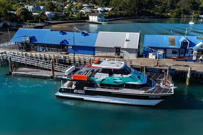 Akaroa Harbour Nature Cruise - FAQ