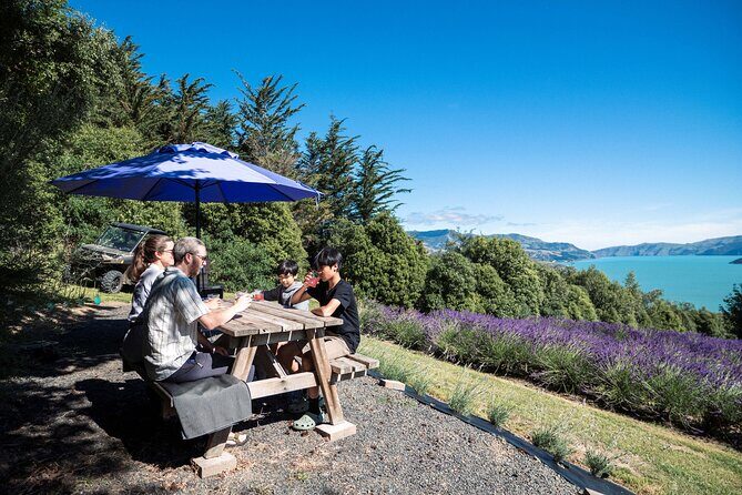 Akaroa Lavender Seasonal Guided Tour Experience - The Sum Up
