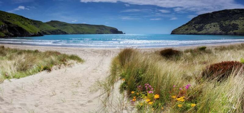 Akaroa: Lonely Beach Trail by E-Scooter. selfguided day out - Who Will Love This Experience?