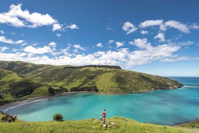 Akaroa Private Day Tour from Christchurch - Analyzing the Value