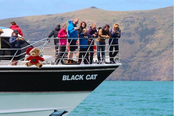 Akaroa Private Day Trip From Christchurch - Final Words