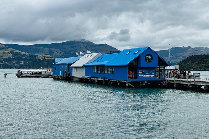 Akaroa Private Group Day Trip from Christchurch - An Honest Look at the Itinerary