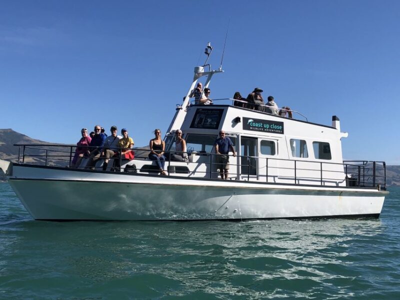 Akaroa: Scenic Coastline Wildlife Cruise - Exploring Akaroa: A Coastal Wildlife Adventure
