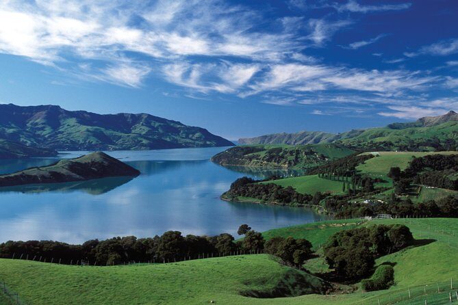 Akaroa Shore Excursion: Akaroa Harbour and Sheep Farm Local Tour - Why Choose This Tour?