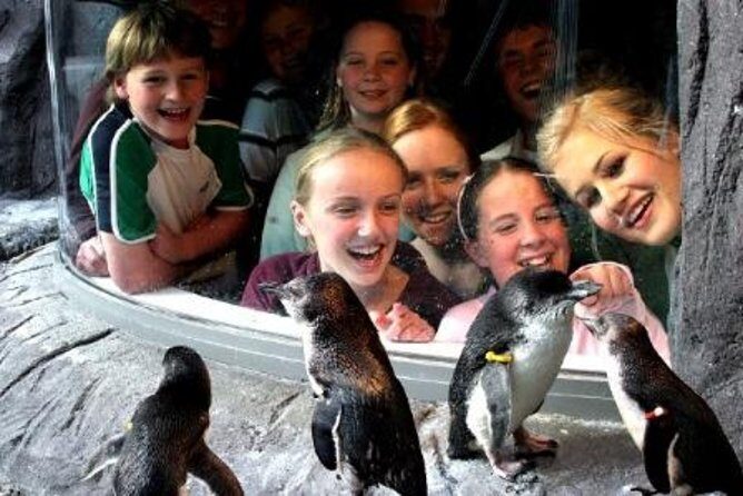Akaroa Shore Excursion: Banks Peninsula, Christchurch City Tour and the International Antarctic Centre - Final Thoughts: Who Should Book This Adventure?