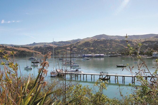 Akaroa Shore Excursion: Banks Peninsula, Christchurch City Tour and Willowbank Wildlife Reserve - Christchurch Botanic Gardens: Natures Retreat in the City