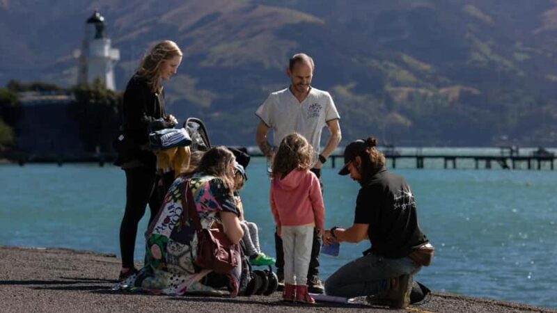 Akaroa: Solar System Walking Tour with Solar Telescope - The Practical Side: What You Need to Know