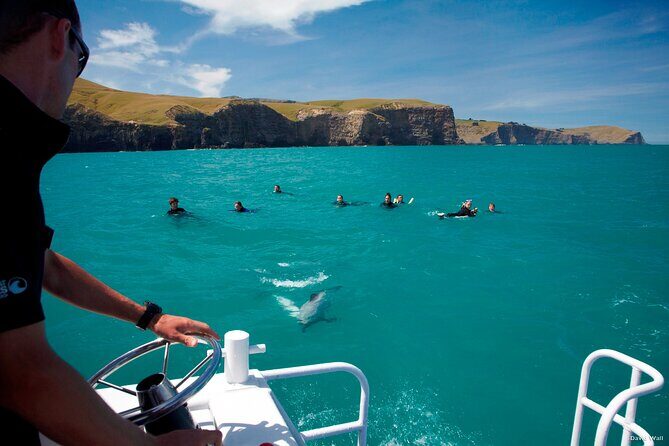 Akaroa Swim with Dolphins Tour from Christchurch - Who Should Consider This Tour?