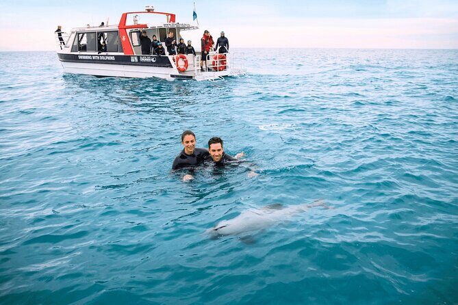 Akaroa Swim with Dolphins Tour from Christchurch - Final Thoughts: Is This Tour Right for You?