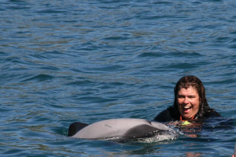 Akaroa: Swimming with Wild Dolphins Experience - The Departure and Boat Experience