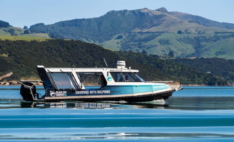 Akaroa: Swimming with Wild Dolphins Experience - Who Should Do It