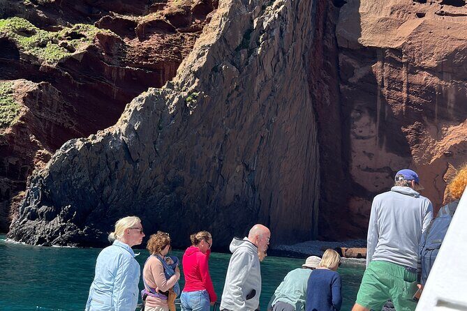 Akaroa Wildlife Cruise - The Benefits of the Price and Booking Process