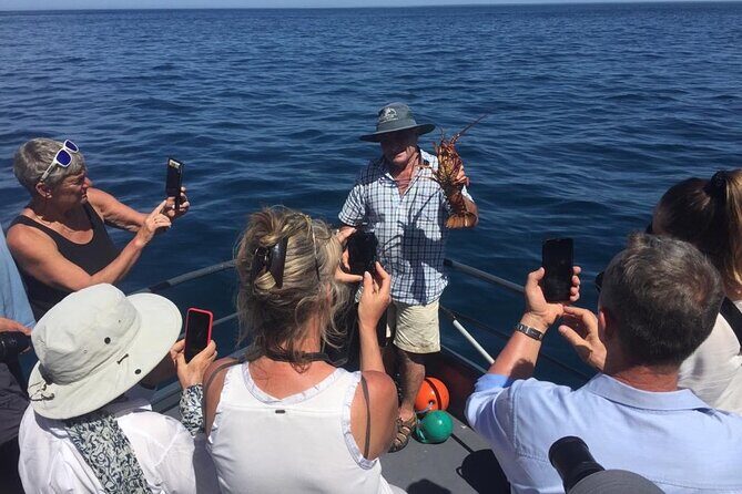 Akaroa Wildlife Cruise - FAQ