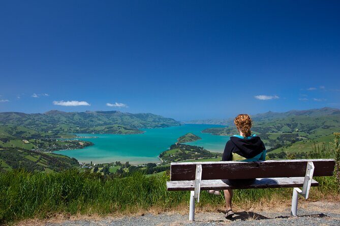 Akaroa with optional dolphin cruise (Small Group Tour) - Final Words