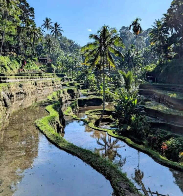 AKASA Sunrise Cafe, Batur Natural Hot Springs & Rice Terrace - A Taste of Bali’s Highland Serenity
