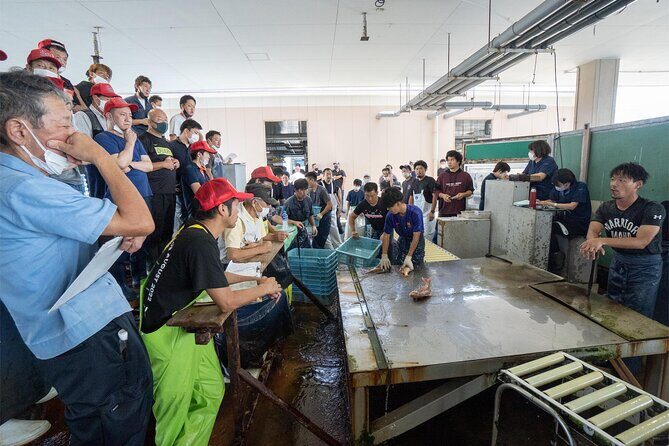 Akashi Private Tour: Fish Auction and Sushi Lunch - Key Points