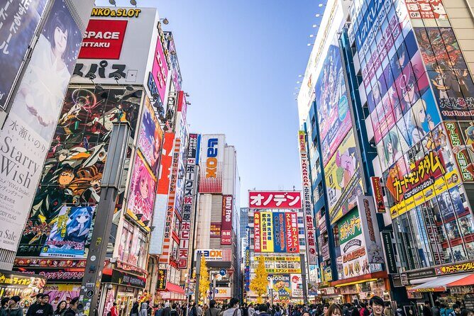 Akihabara Anime Shopping and Karaoke Bar Adventure - Key Points