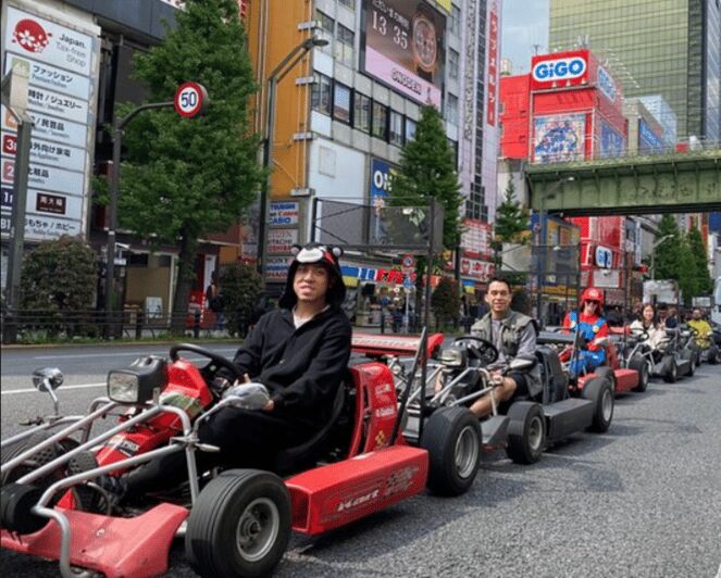 Akihabara: Go-Kart Experience with Local Guide - Final Verdict