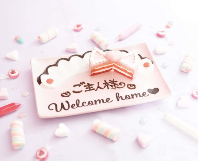 Akihabara: Maid Cafe at-home cafe Priority Entry with a Set - Who Should Consider This Tour?