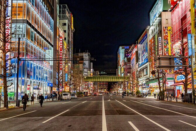 Akihabara Otaku Wonderland 100% Personalized TOUR - Practical Details: What You Need to Know
