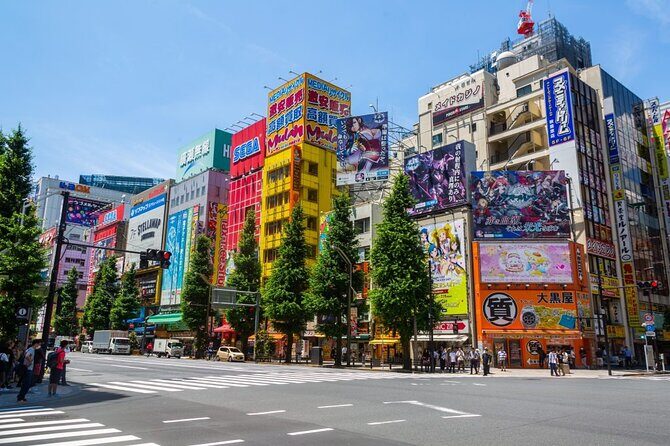 Akihabara Pop Culture Tour - Discover Tokyo’s Otaku Playground with the Akihabara Pop Culture Tour
