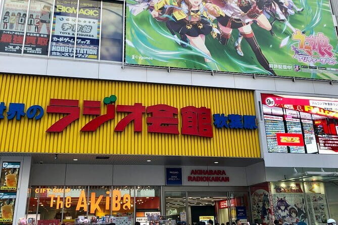 Akihabara Private Custom Tour with Pickup - Key Points