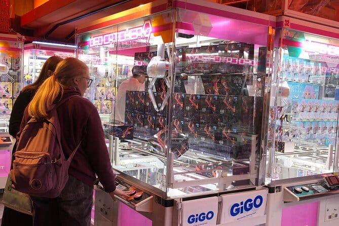 Akihabara Private Custom Tour with Pickup - Detailed Breakdown of the Itinerary