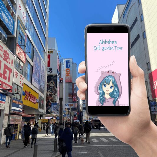 Akihabara: Self-Guided Tour with a special brochure - An In-Depth Look at the Self-Guided Akihabara Tour