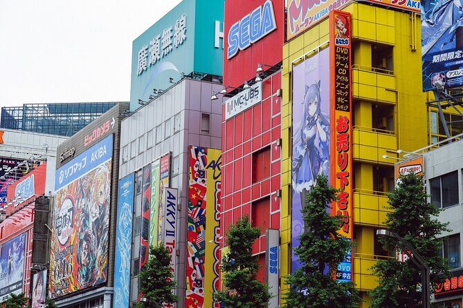 Akihabara Tour with Vintage Gaming Anime and Gachapon Experience - Introduction: Why This Tour Stands Out