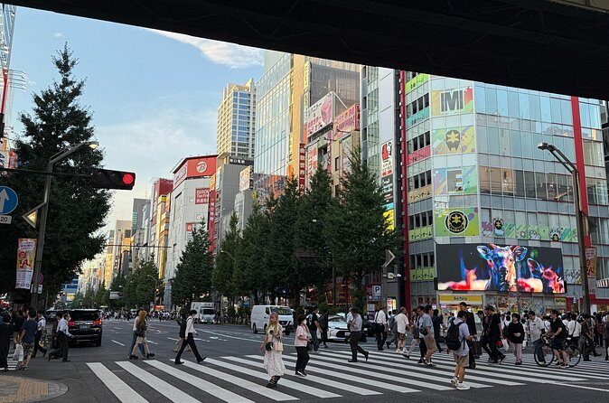 Akihabara Trading Card Shopping Tour with Local Guide - Practical Considerations