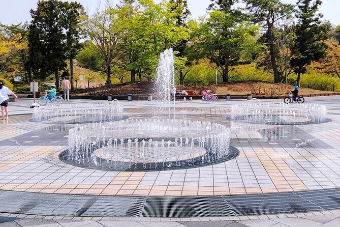 Akita Private Customizable Full Day Tour - Key Points