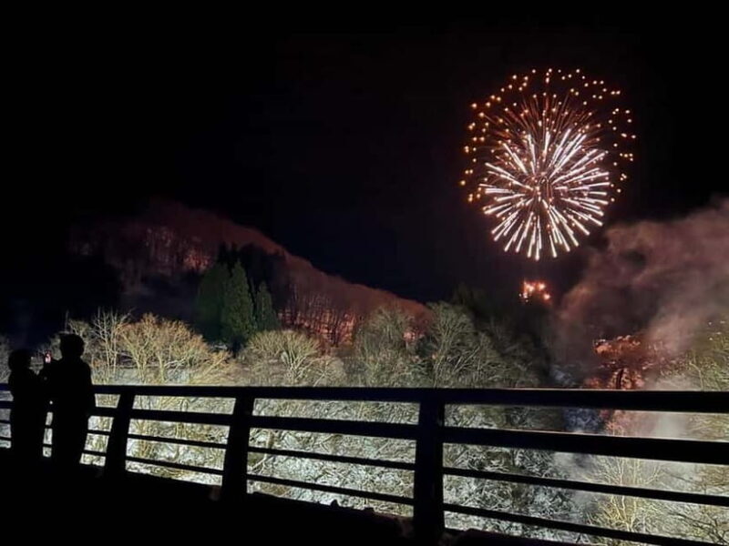 Akita-Yuzawa: Winter Night Tour with Igloos & Giant Icicles - Who Will Enjoy This Tour?