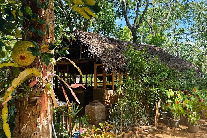 Akka Nago Cooking Class & Resturant - Authenticity and Authentic Experiences: What the Reviews Say