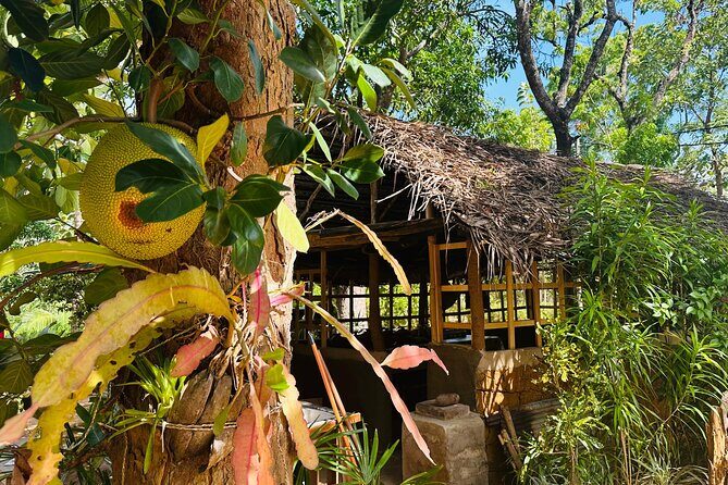 Akka Nago Cooking Class & Resturant - Who Will Love This Experience?