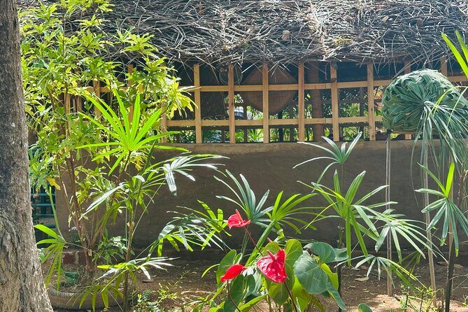 Akka Nago Cooking Class & Resturant - Final Thoughts