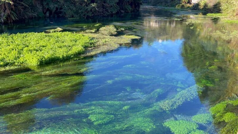 AKL: TE PUIA w buffet, Poly'sian Spa & Blue Springs Day Tour - Transportation, Timing & Group Experience