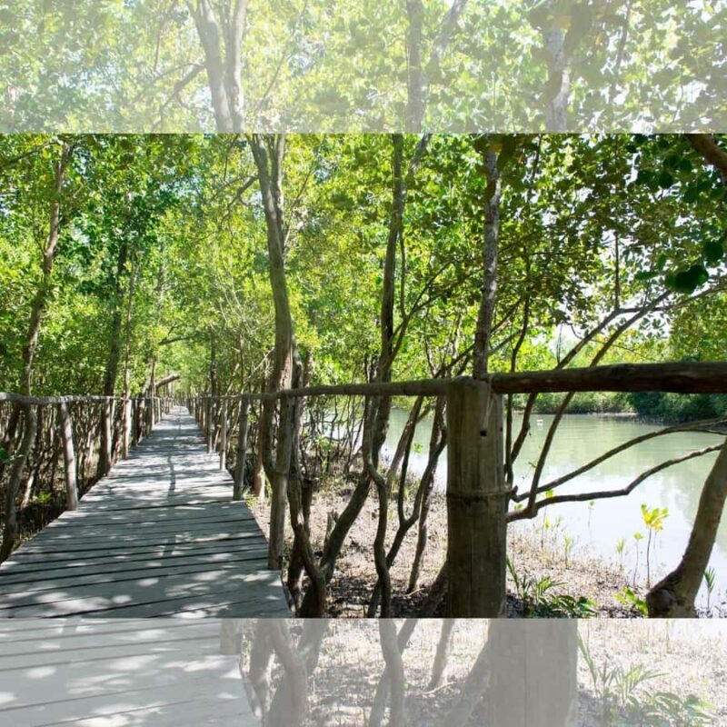 Aklan: Vibrant Kalibo Tour - An In-Depth Look at the Kalibo Tour