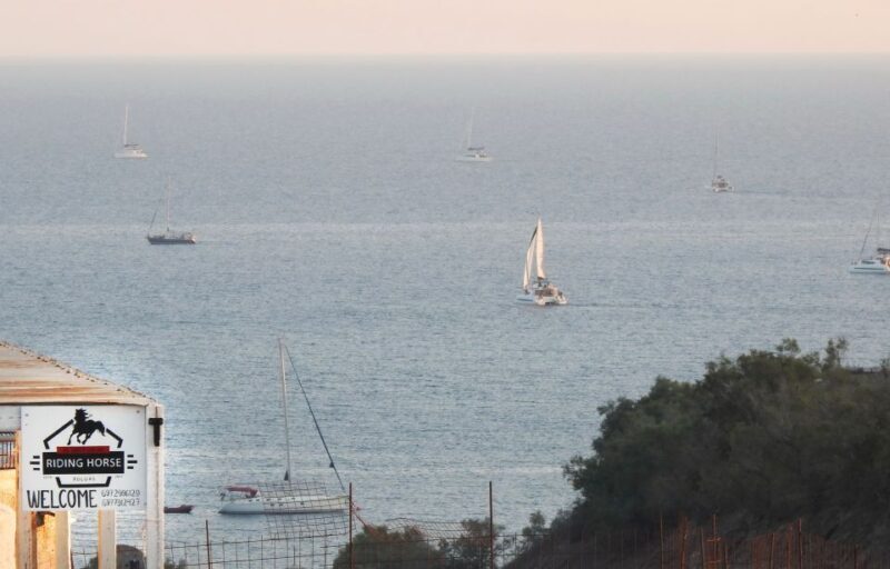 Akrotiri: Guided Horseback Riding Day Trip to a Beach - Key Points